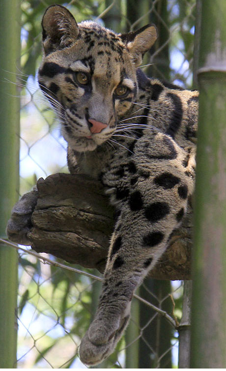 The Nashville Zoo | While at the Zoo