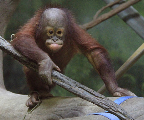 Hogle Zoo | While at the Zoo