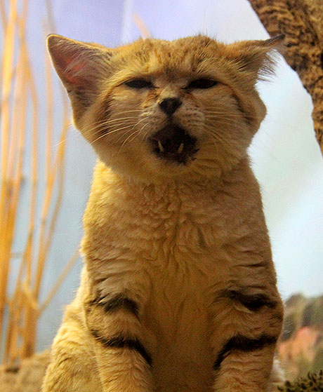 The National Zoo | While at the Zoo