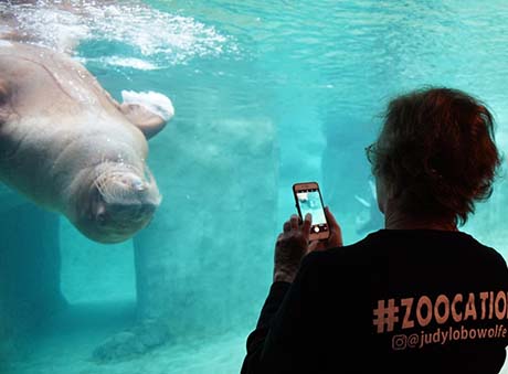 zooc | While at the Zoo